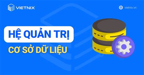 Các Kiểu Dữ Liệu Trong Mysql Data Types Cần Biết