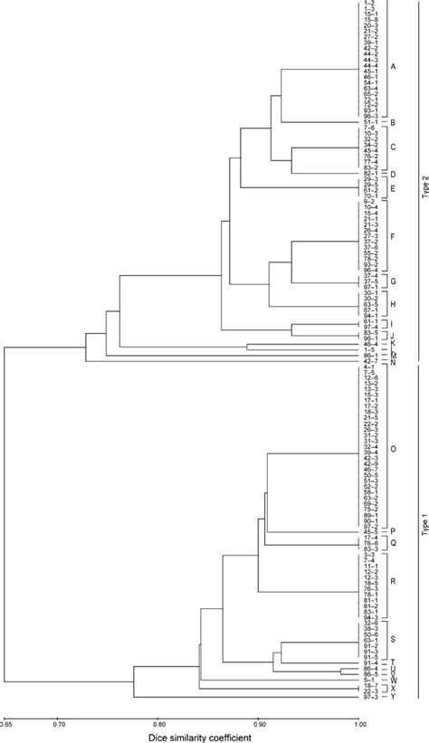 Unweighted Pair Group Method Using Arithmetic Averages Tree Produced Download Scientific