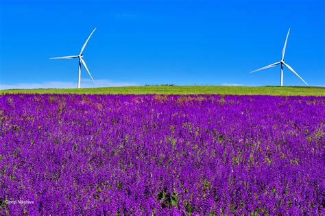 Giorgi Nikolava Giorgi Nikolava Photography