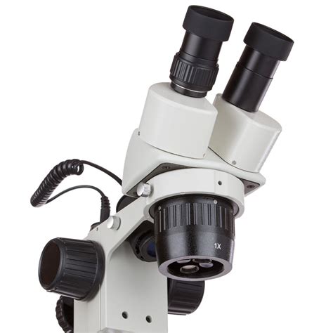 Amscope 20x 40x Super Widefield Pillar Stand Stereo Microscope With To