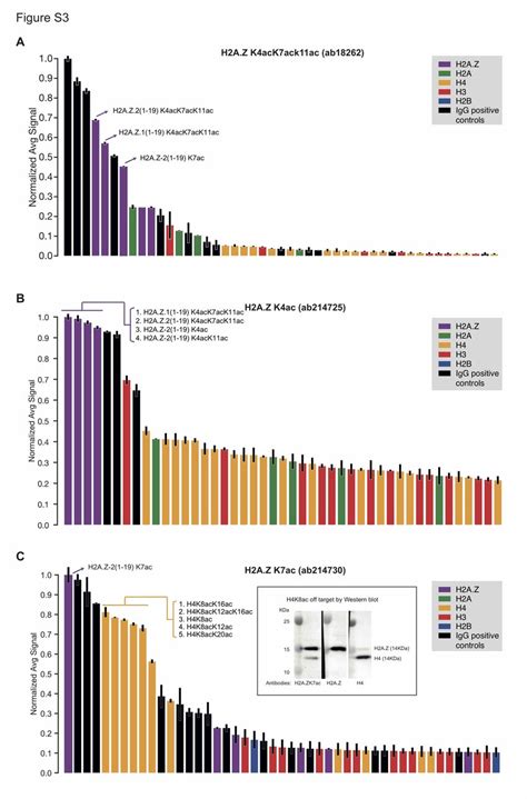 Figure S3 Antibody Validation Using Histone Peptide Microarray