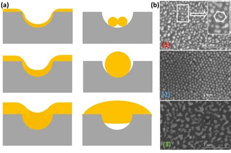 Morphology Evolution Following De Wetting Process A Schematic Of Download Scientific Diagram