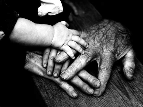 5 Key Phases Of Human Brain Aging Explained Medical News Corner