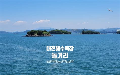 대천해수욕장 놀거리 짚트랙 스카이바이크 보령머드테마파크 대천항유람선 네이버 블로그