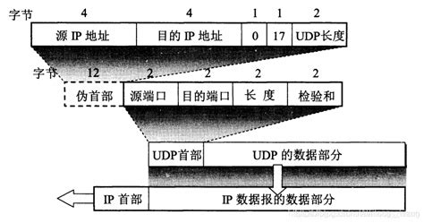 网络中tcp、ip、mac、udp的头部格式信息 mac数据包格式 csdn博客