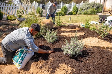 How To Keep Weeds Out Of Your Plant Beds 4 Tips For Central Texas