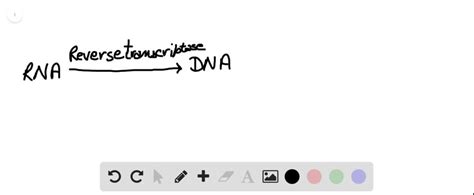 Solved Why Does The Hiv Virus Use Reverse Transcriptase In The Replication Process A The Hiv