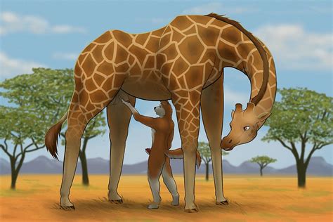 Rule 34 2014 Animal Genitalia Anthro Anthro On Feral Balls Between