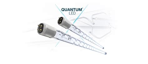 Quantum X Webinar Pestwest Llc Usa