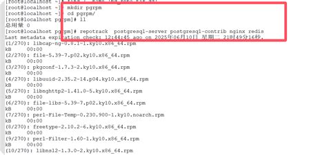 （带图文）内网麒麟v10服务器centos8安装pg数据库、redis、nginx 麒麟服务器系统 centos redis rpm 安装