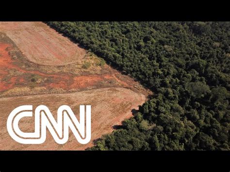 Desmatamento Na Amazônia Em 2021 é O Maior Dos últimos 10 Anos Cnn Brasil