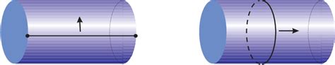 Figure 3 From Logarithmic Conformal Field Theory With Boundary