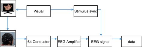 Schematic Diagram Of Eeg Signal Data Collection Process Download Scientific Diagram