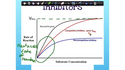 Enzyme Chemical Reaction Graph At Alice Pinard Blog