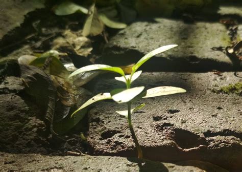 How To Set Simple But Strong Secure Password With Easy Techniques