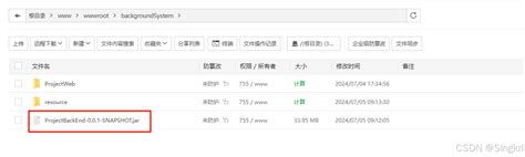 Vue3springbootmysql80打包上线部署（使用宝塔面板）宝塔部署vue3项目 Csdn博客