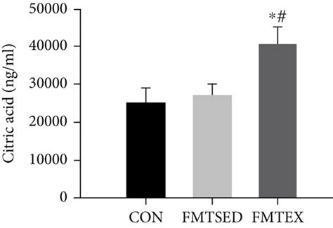 Glucose And Insulin Tolerance Test Hippocampal Insulin Signaling And Download Scientific