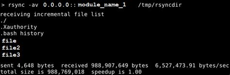 Pentesting Rsync SmeegeSec