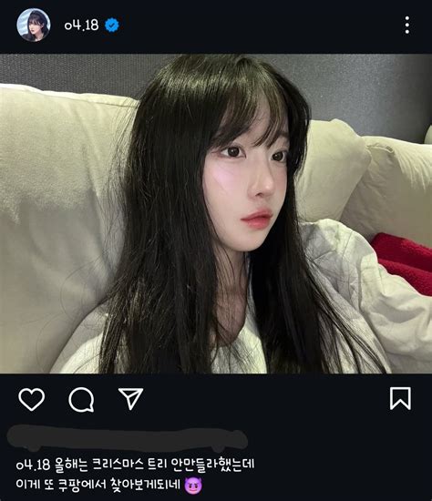 [박삐삐 인스타] 올해는 크리스마스 트리 안만들라했는데 숲 Soop 에펨코리아