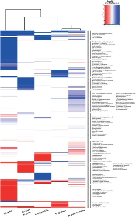 Clc Genomics Workbench 3 6 5 Rar Indunvalen Lichniribah