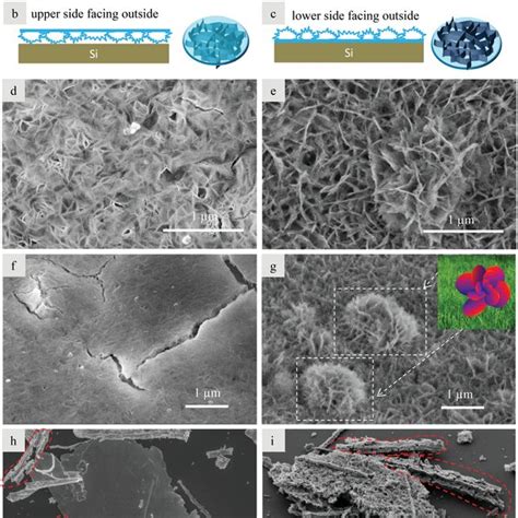 A Sem Image Showing The Cross‐section Of The 2d Znoznoh2 Thin Film