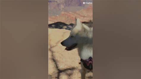 Just Phoeber Jeebers Youtube