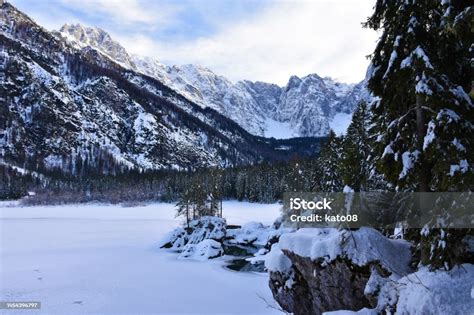 침엽수림과 이탈리아 프리울리베네치아 줄리아 지역의 타르비시오 근처의 라고 디 푸신 수페리오레 호수 기슭과 겨울철 율리우스 알프스의 코토바 스피카 산 기슭에 있는 빙하