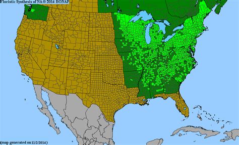 2013 Bonap North American Plant Atlas Taxonmaps