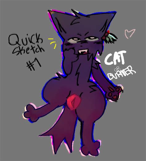 Rule 34 Animal Genitalia Animal Pussy Black Body Black Fur Black Paws