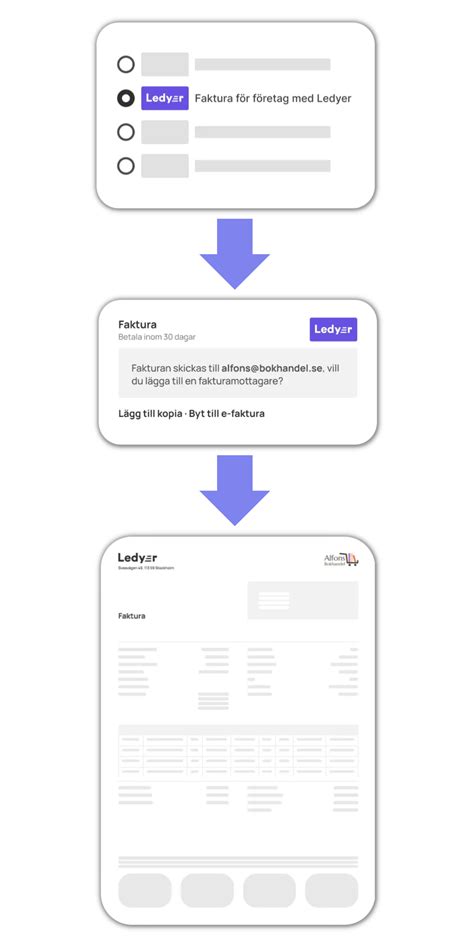 B2b Payment Module For Magento Ledyer And Scandiweb
