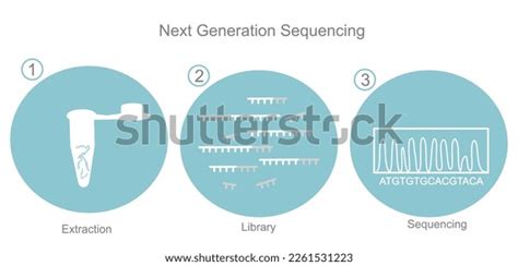 Detection Icon Next Generation Sequencing That Stock Vector Royalty Free 2261531223 Shutterstock