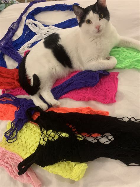 Ember Reigns On Twitter He Cant Pick A Color Can You Msg Me To