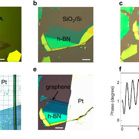 Preparation Of Transferred Grapheneh Bn Heterostructure With 24° Download Scientific Diagram