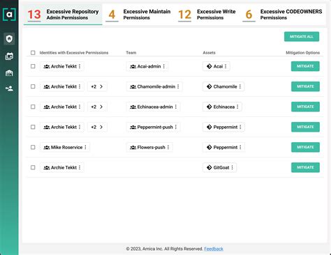 Arnica Automated Developer Access Management