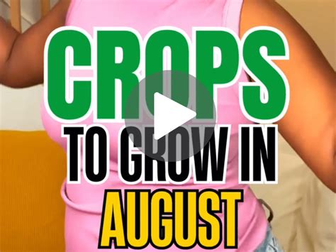 What To Plant In The Tropics In August 15 High Yield Crops For