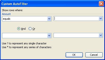 Setting Up Custom AutoFiltering Microsoft Excel
