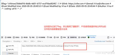ctfshow web入门 命令执行（29 54关） ctfshow web29 csdn博客