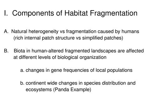 Ppt Habitat Fragmentation I Powerpoint Presentation Free Download Id217304