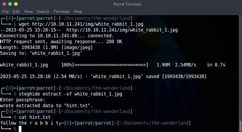 Ctf Walkthrough Wonderland On Tryhackme Codequoi