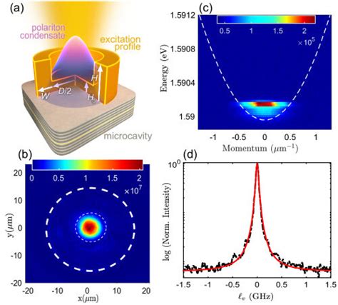 Experimental Configuration A Schematics Of The Experiment Showing Download Scientific