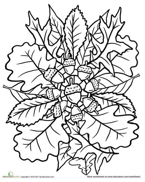 Fall Leaf Mandala Coloring Page