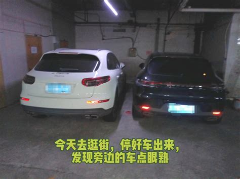 真假美猴王之卡宴版 直播吧