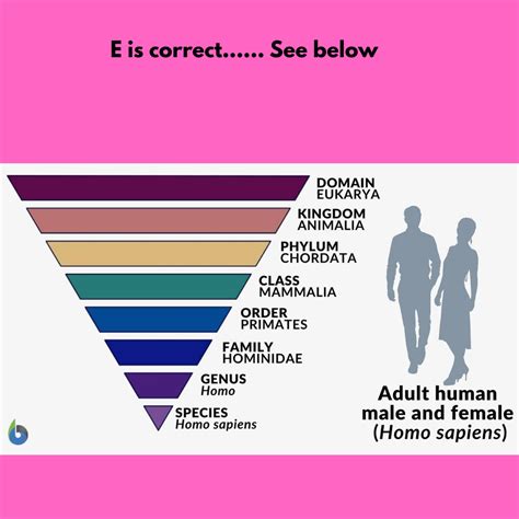 Dat Dat Question Of The Day Taxonomy Quick Quiz Student Doctor