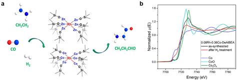Recent Progress And Strategies On The Design Of Zeolite Based Catalysts