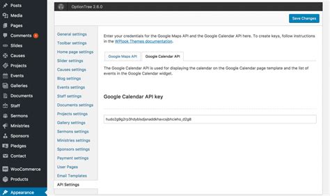 API Settings WPlook Documentation
