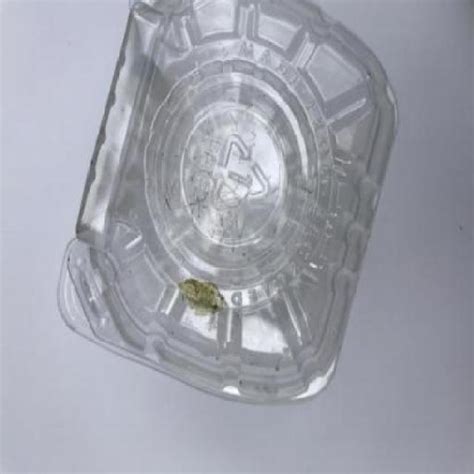 Yolov5 Garbage Detection Object Detection Dataset V1 2023 09 22 2 01pm By Garbage Detection