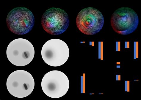 Shape And Force Reconstruction Performance Examples From Test Set For