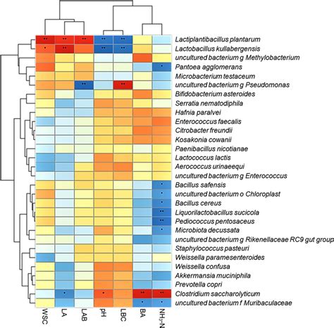 Correlation Analysis Between Bacterial Community And Terminal