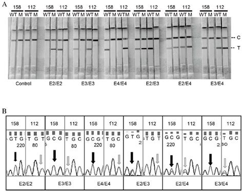 Specificity Specificity Test Results Of The Amplification Refractory Download Scientific