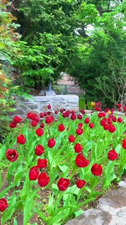 ატენის ხეობა ატენის დედათა მონასტერი 💚 Youtube